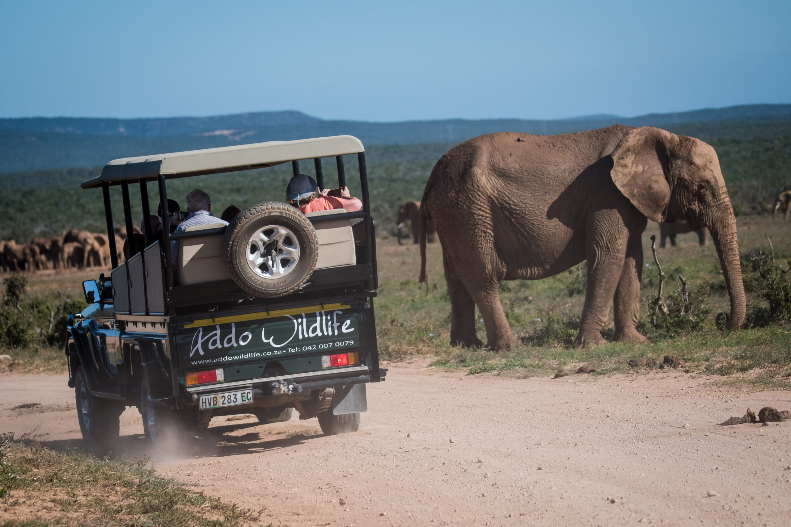 Addo Elephant National Park - Awe-inspiring Places