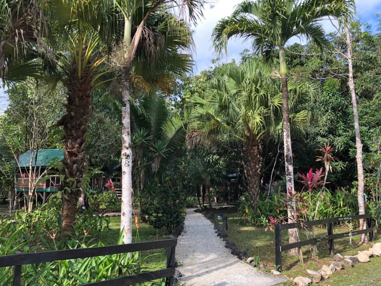 Belize Tropical Education Center - Awe-inspiring Places