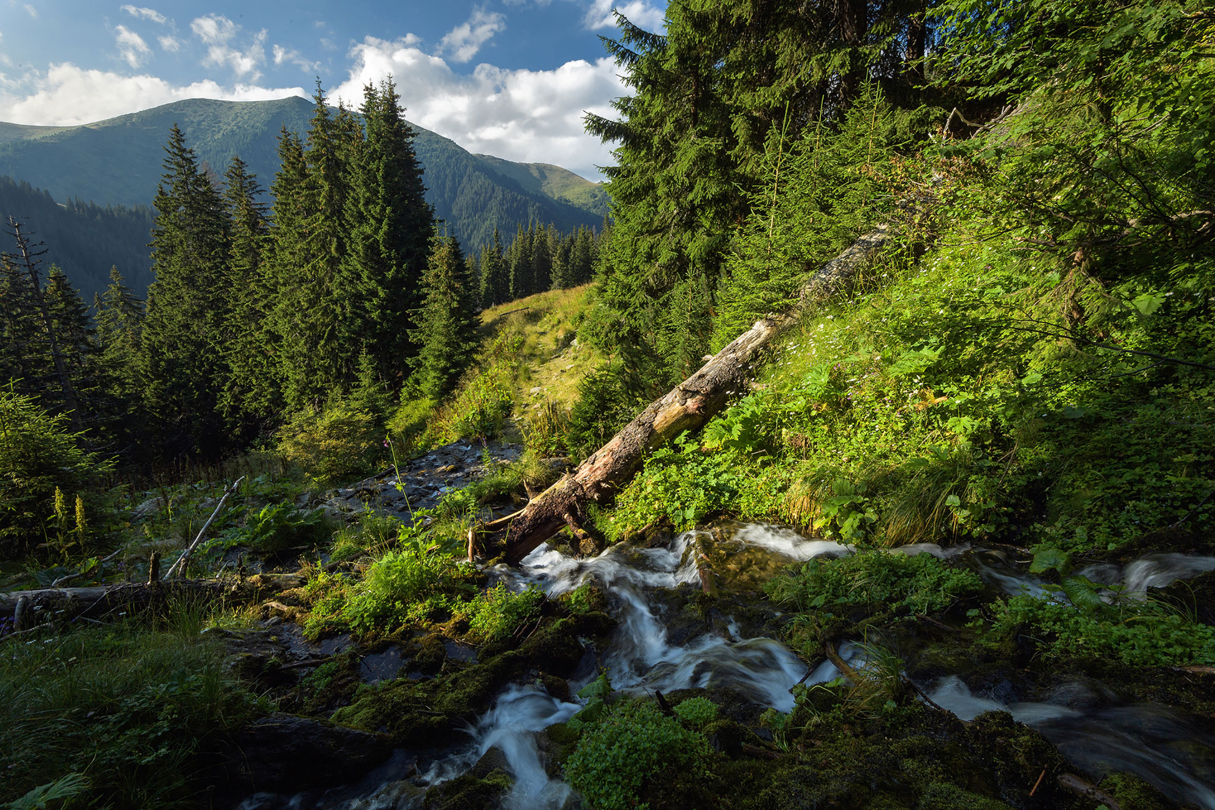 Carpathian Mountains - Awe-inspiring Places