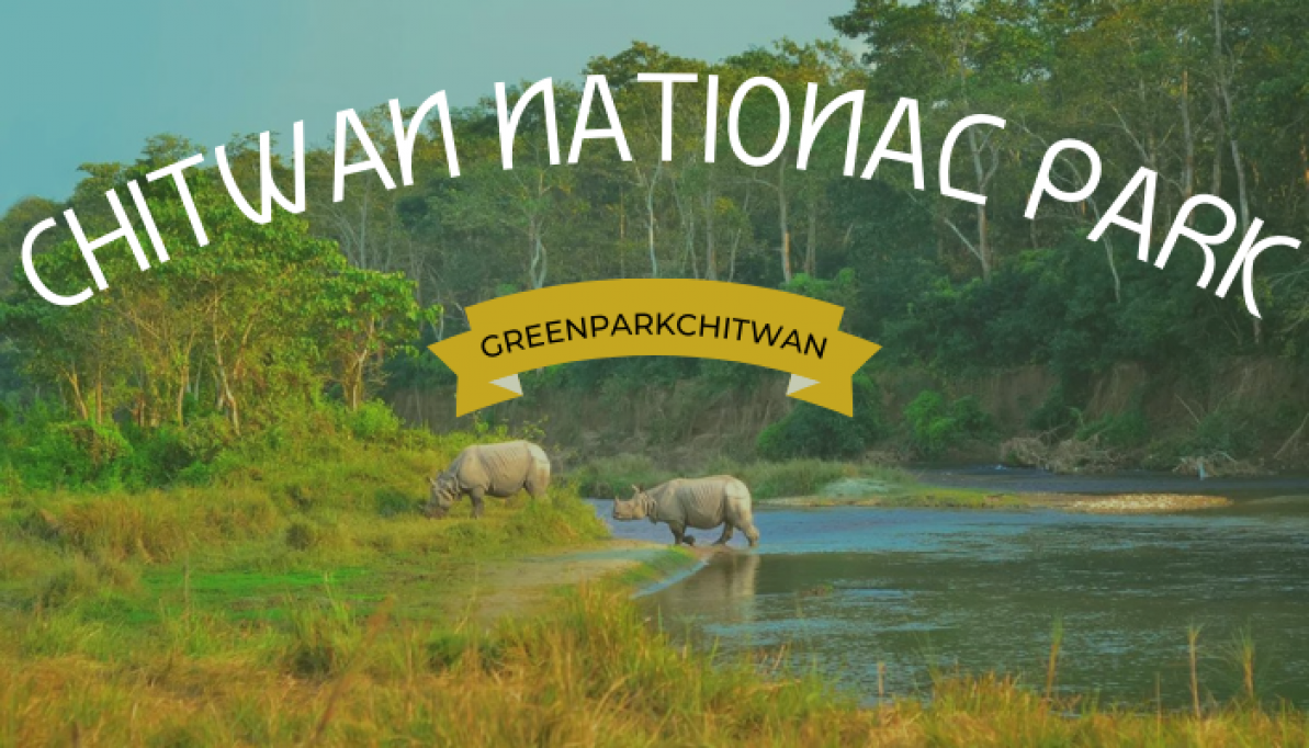 Chitwan National Park - Awe-inspiring Places