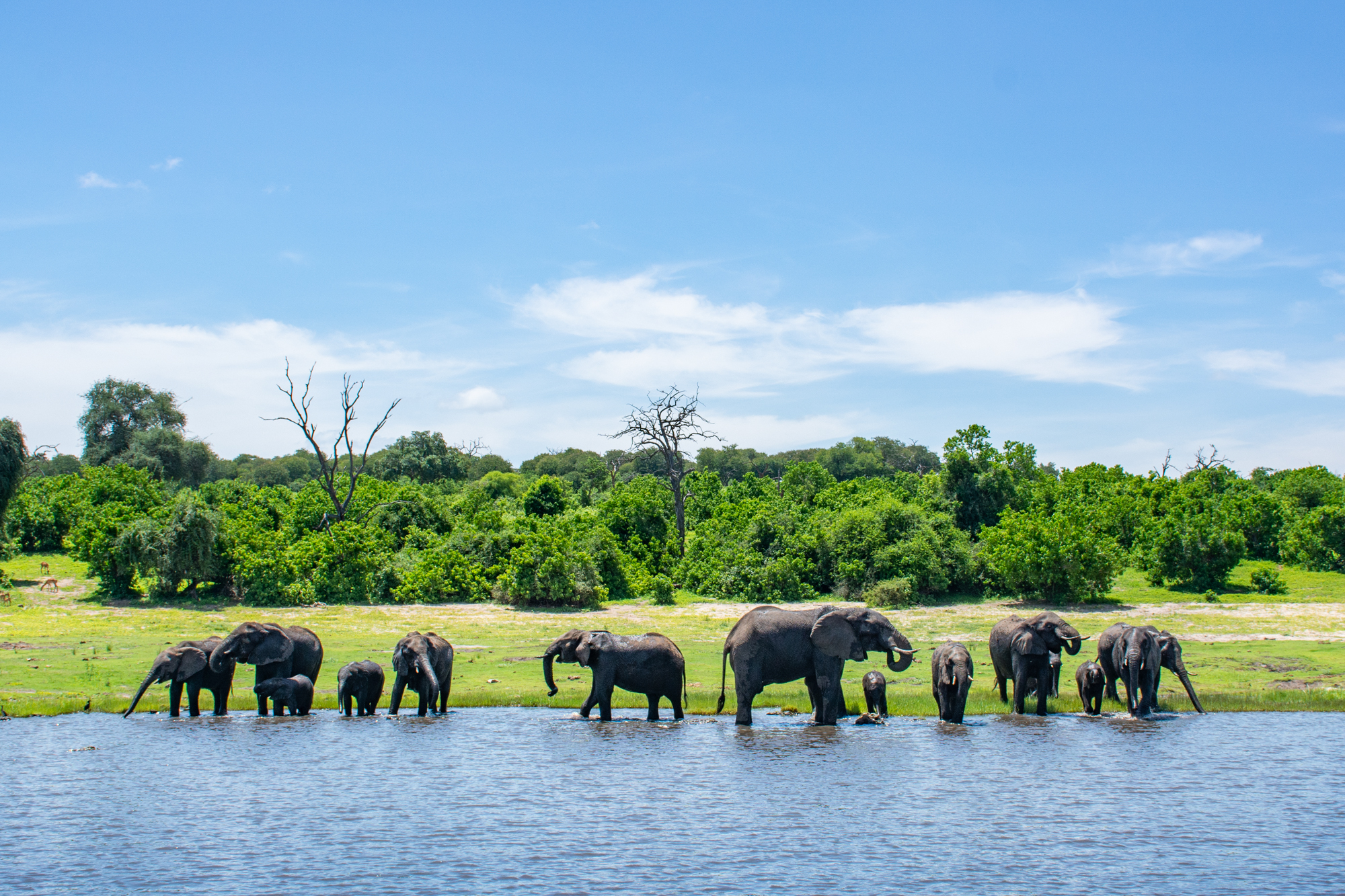 Chobe River - Awe-inspiring Places