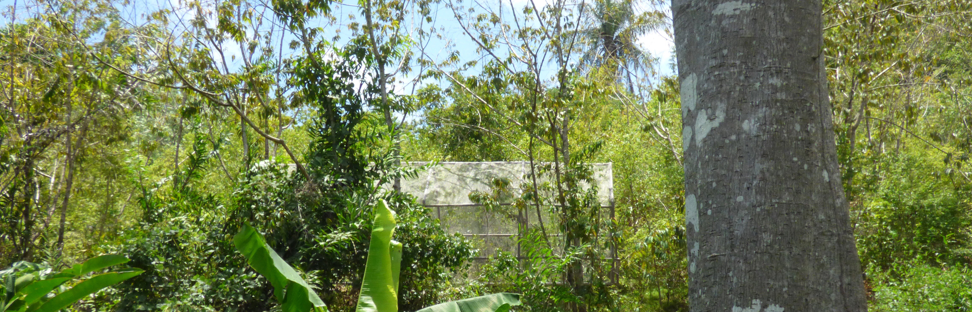 Corbin Local Wildlife Park - Awe-inspiring Places