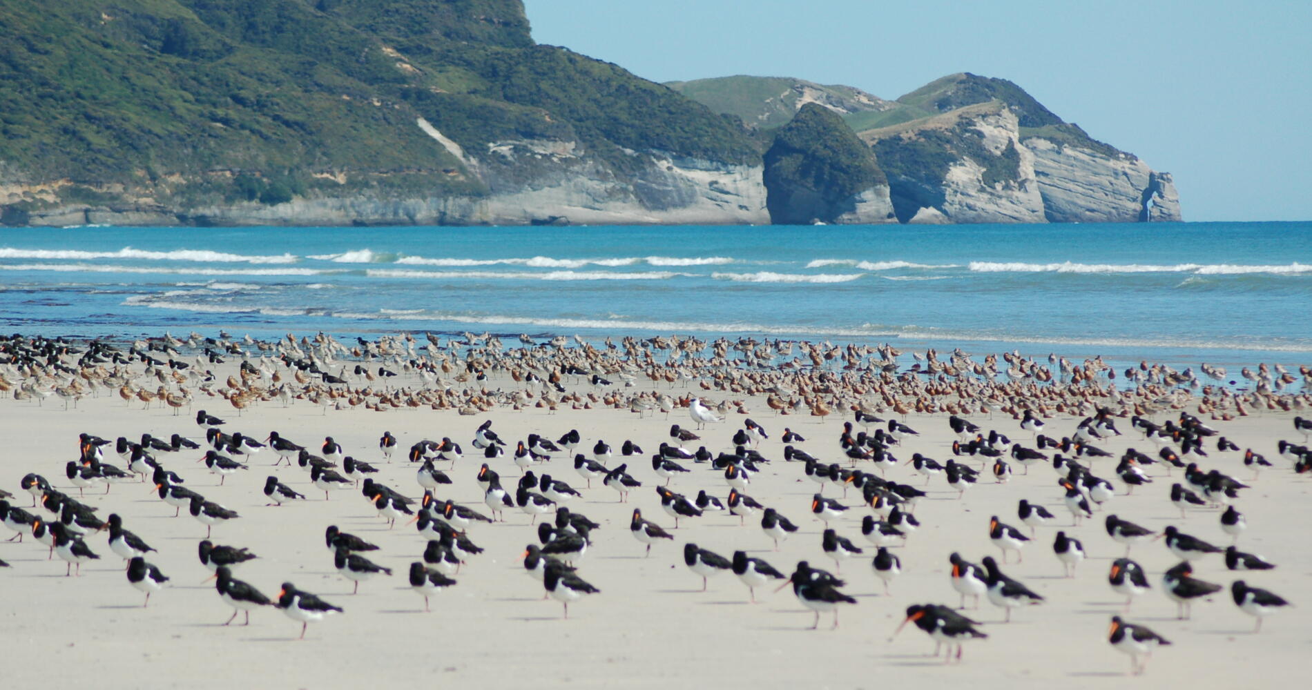 Farewell Spit - Awe-inspiring Places