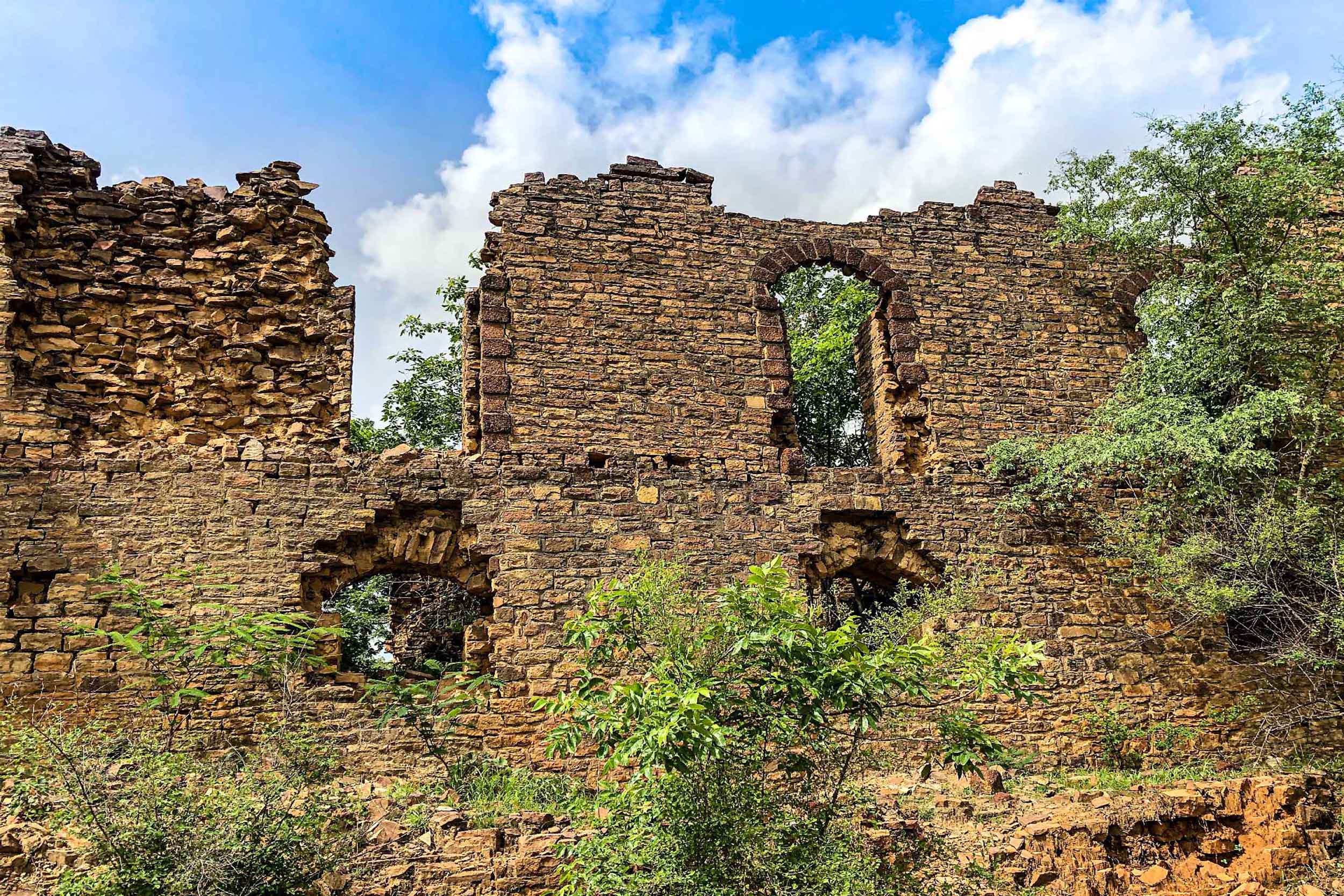 Foret Classee De Siguiri - Awe-inspiring Places