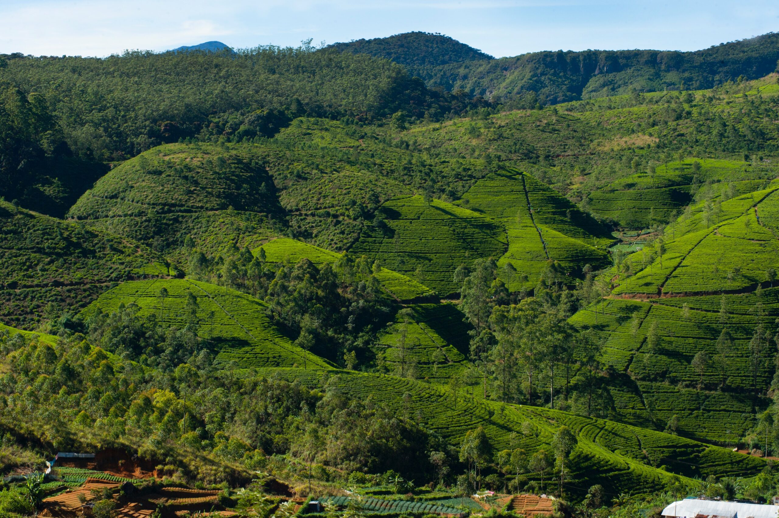 Goda Mountains - Awe-inspiring Places