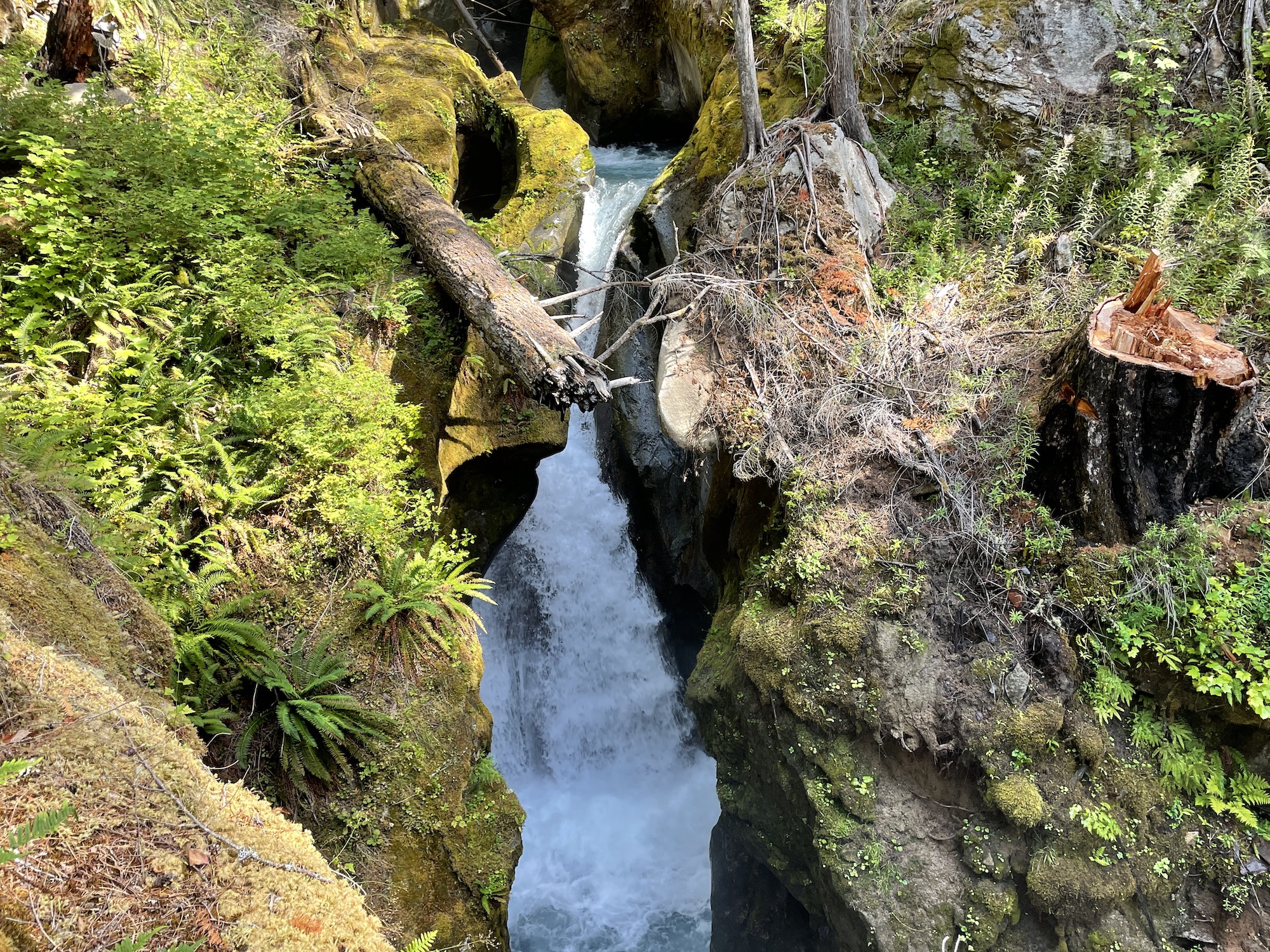 Ladder Creek Falls And Gardens - Awe-inspiring Places