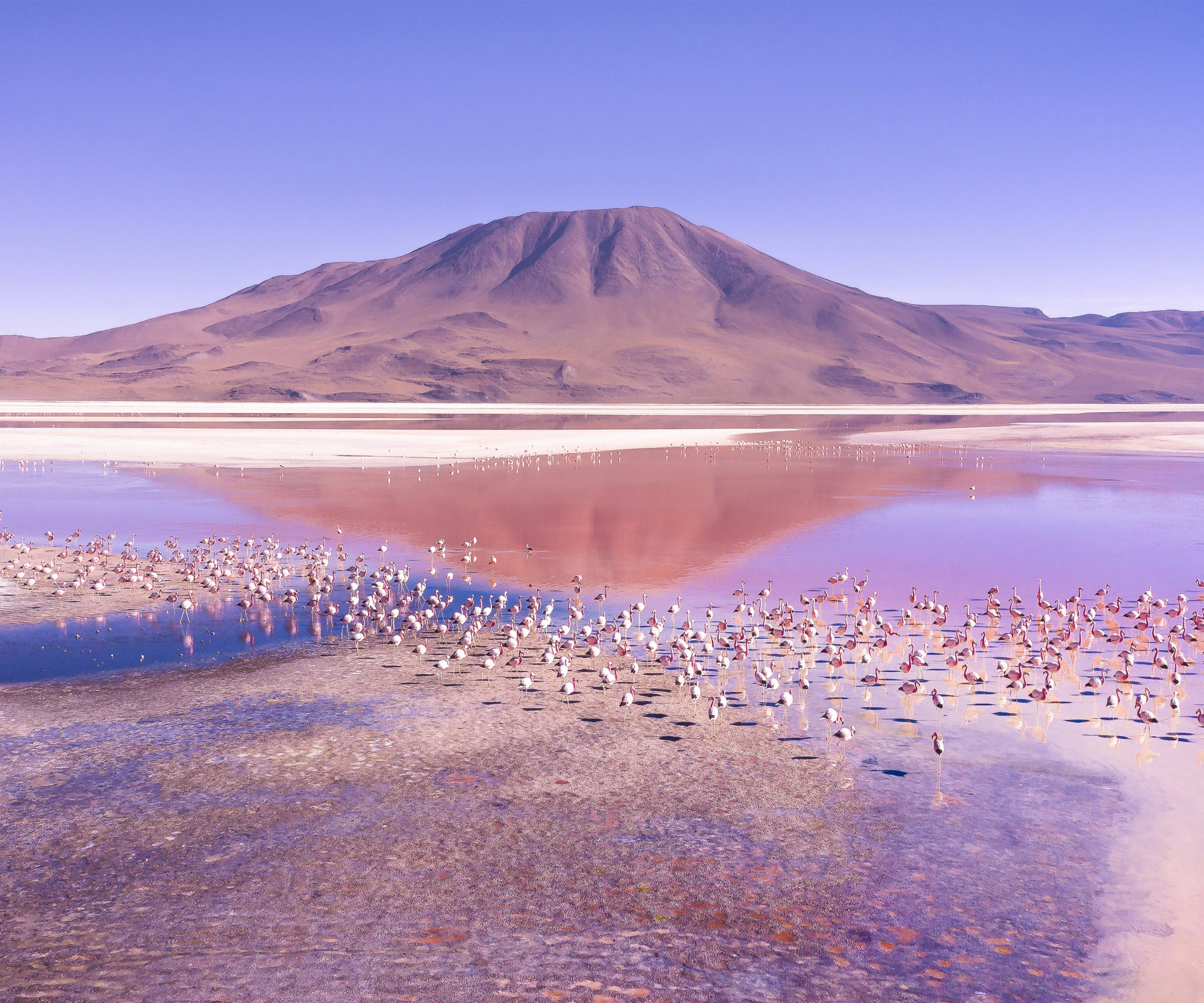 Laguna Colorada - Awe-inspiring Places