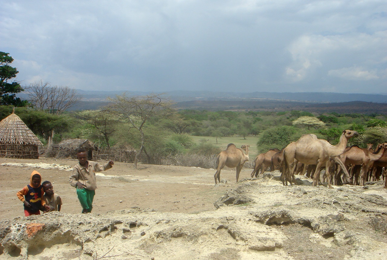 Lake Langano - Awe-inspiring Places