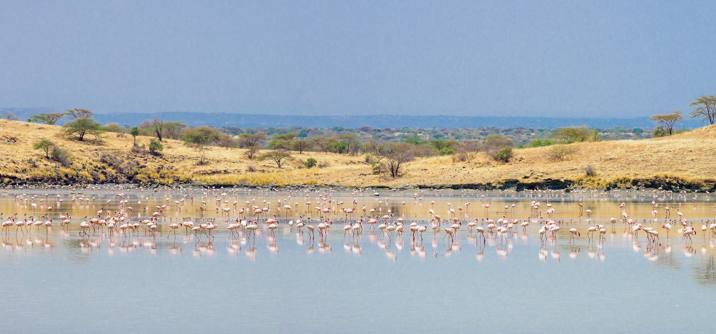 Lake Magadi - Awe-inspiring Places