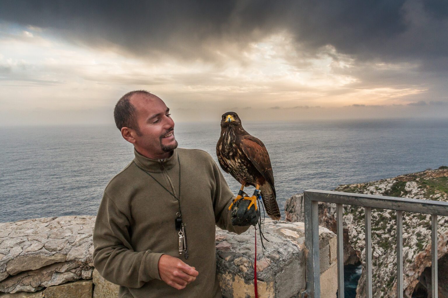 Malta Falconry Centre - Awe-inspiring Places