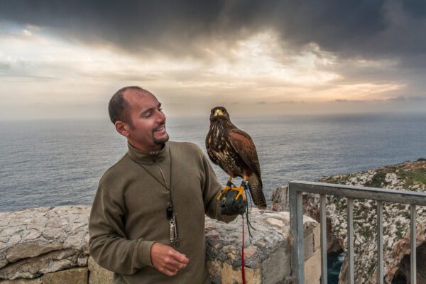Malta Falconry Centre - Awe-inspiring Places