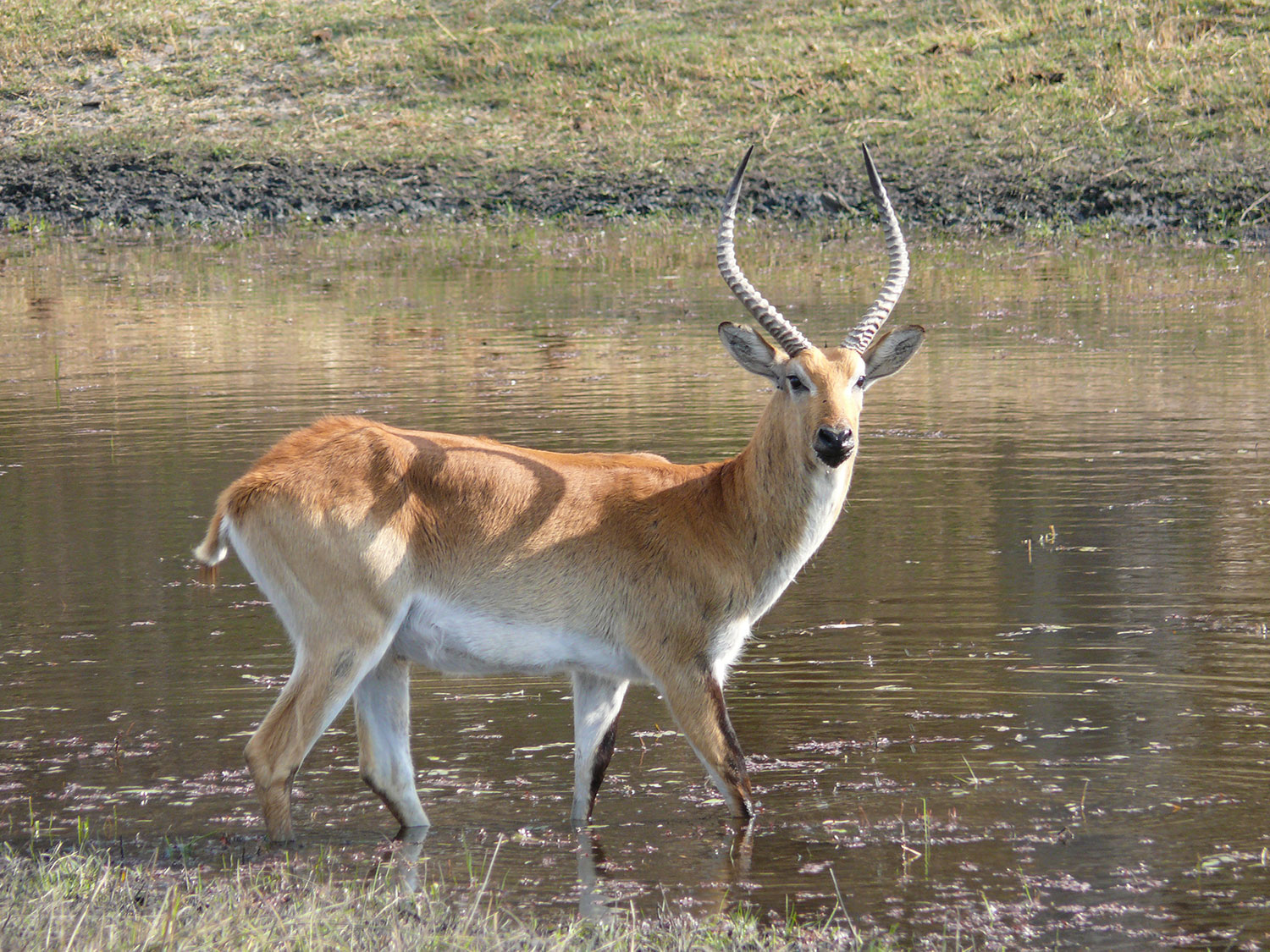 Mudumu National Park - Awe-inspiring Places