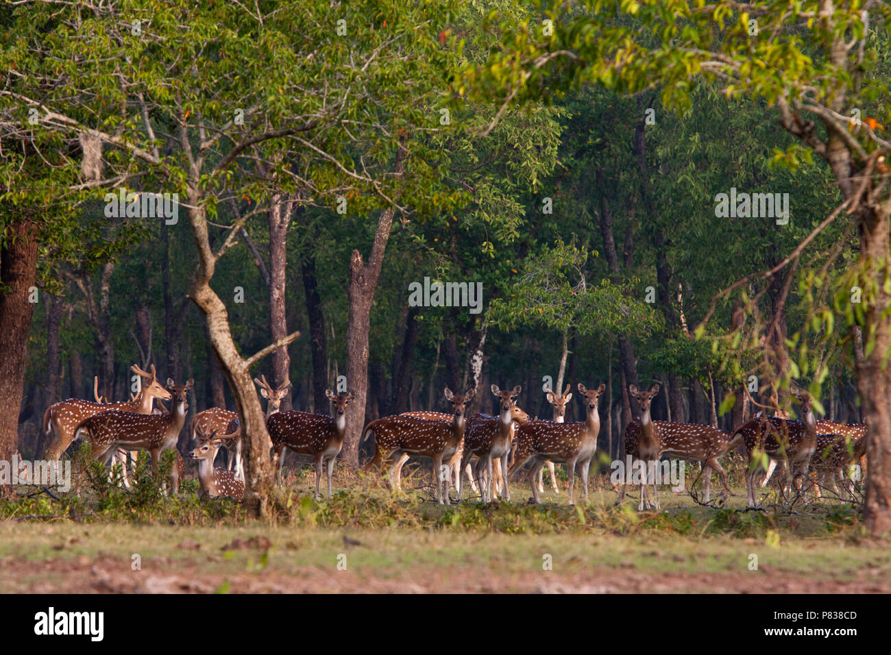 Nijhum Dwip National Park - Awe-inspiring Places