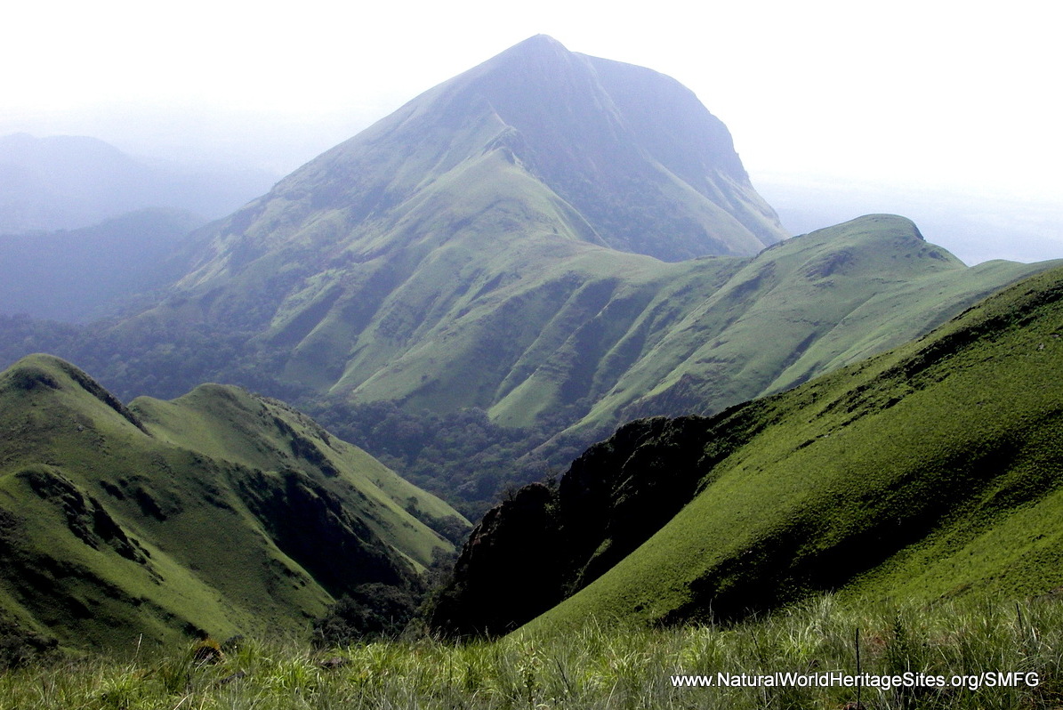 Nimba Nature Reserve - Awe-inspiring Places