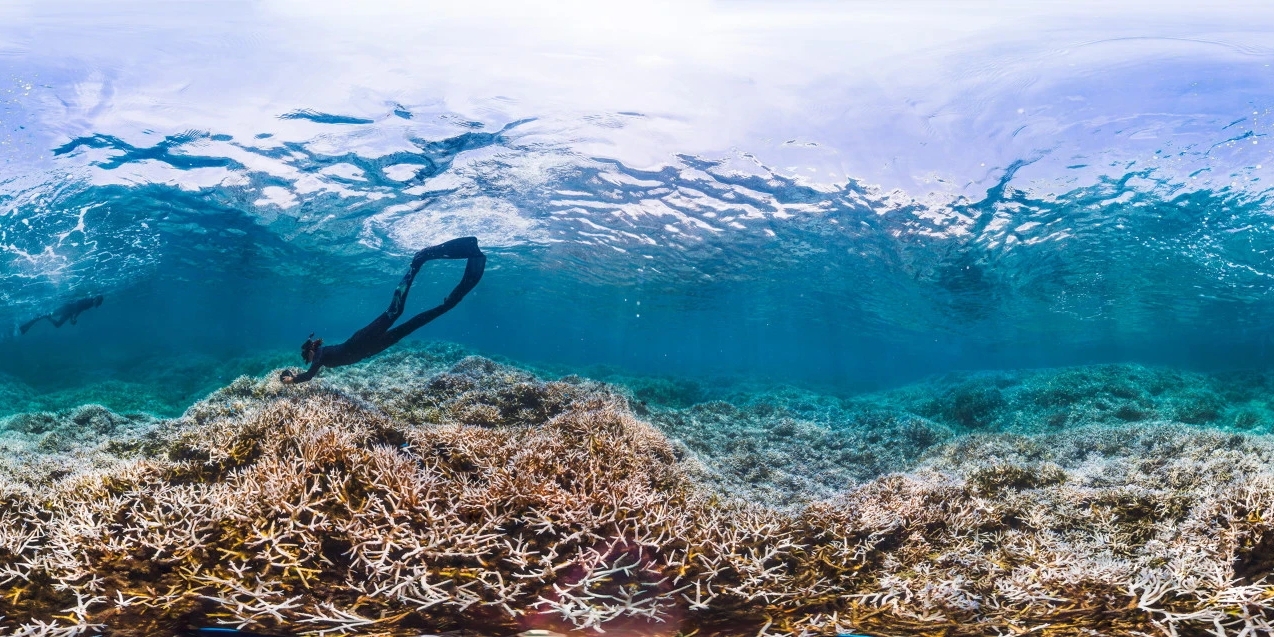 Palolo Deep National Marine Reserve - Awe-inspiring Places