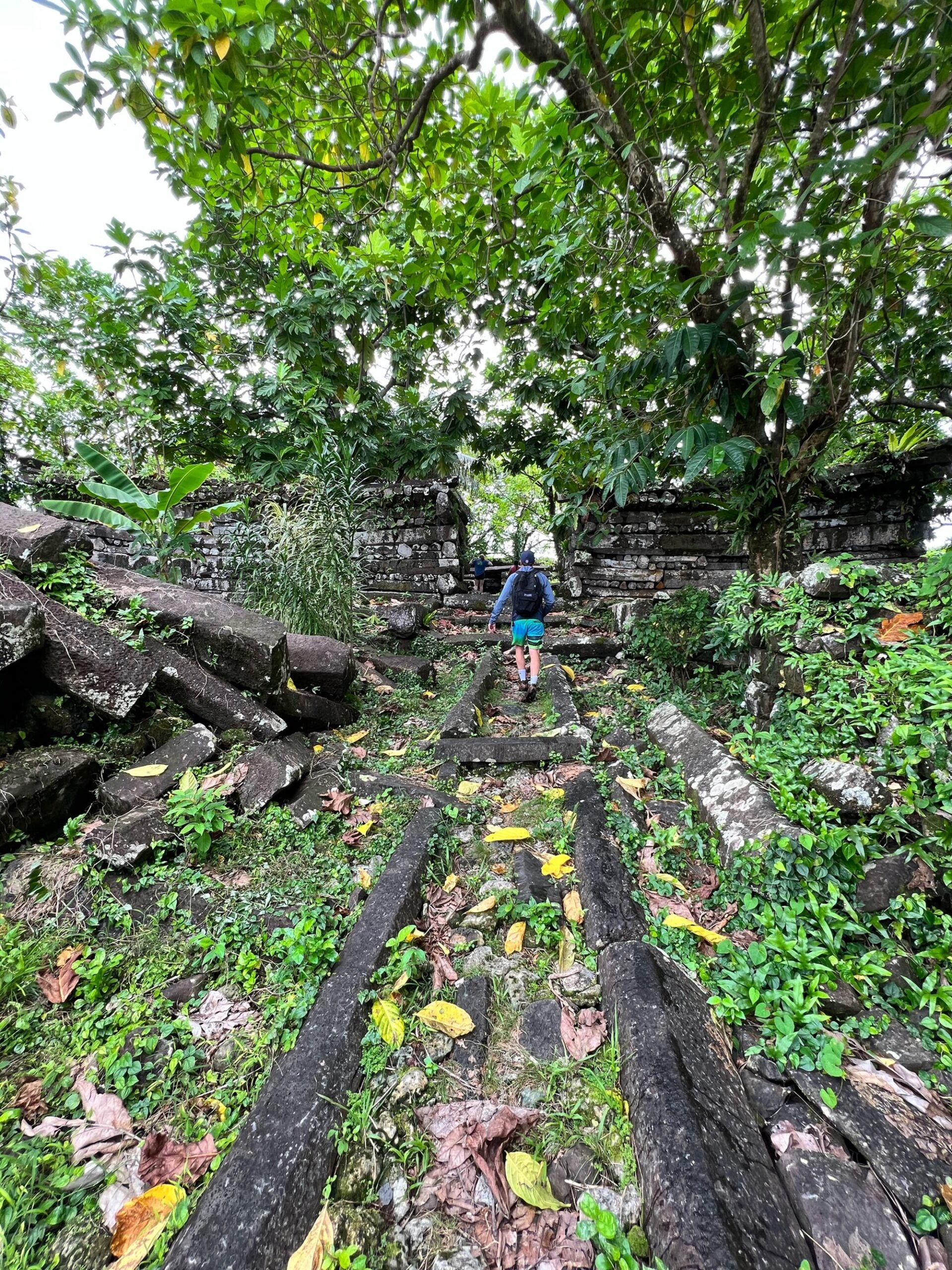 Pohnpei Coastal Trail - Awe-inspiring Places