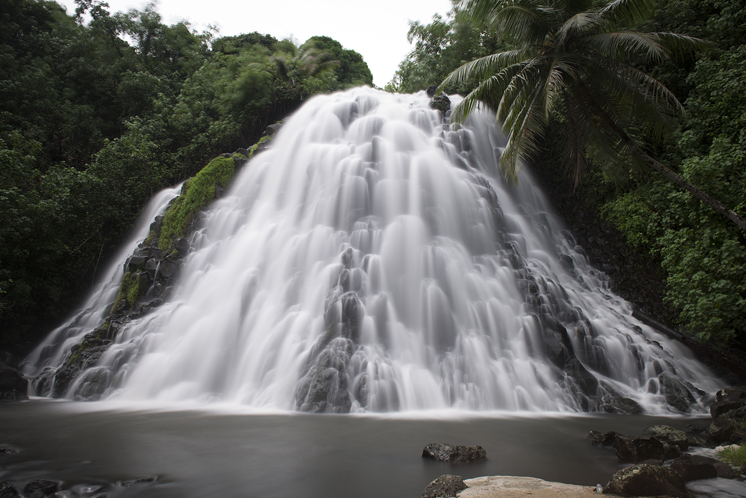 Pohnpei Eco-Tourism Park - Awe-inspiring Places