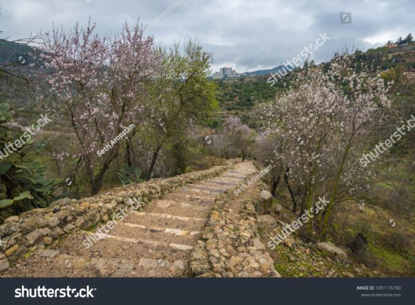 Sataf Nature Reserve - Awe-inspiring Places
