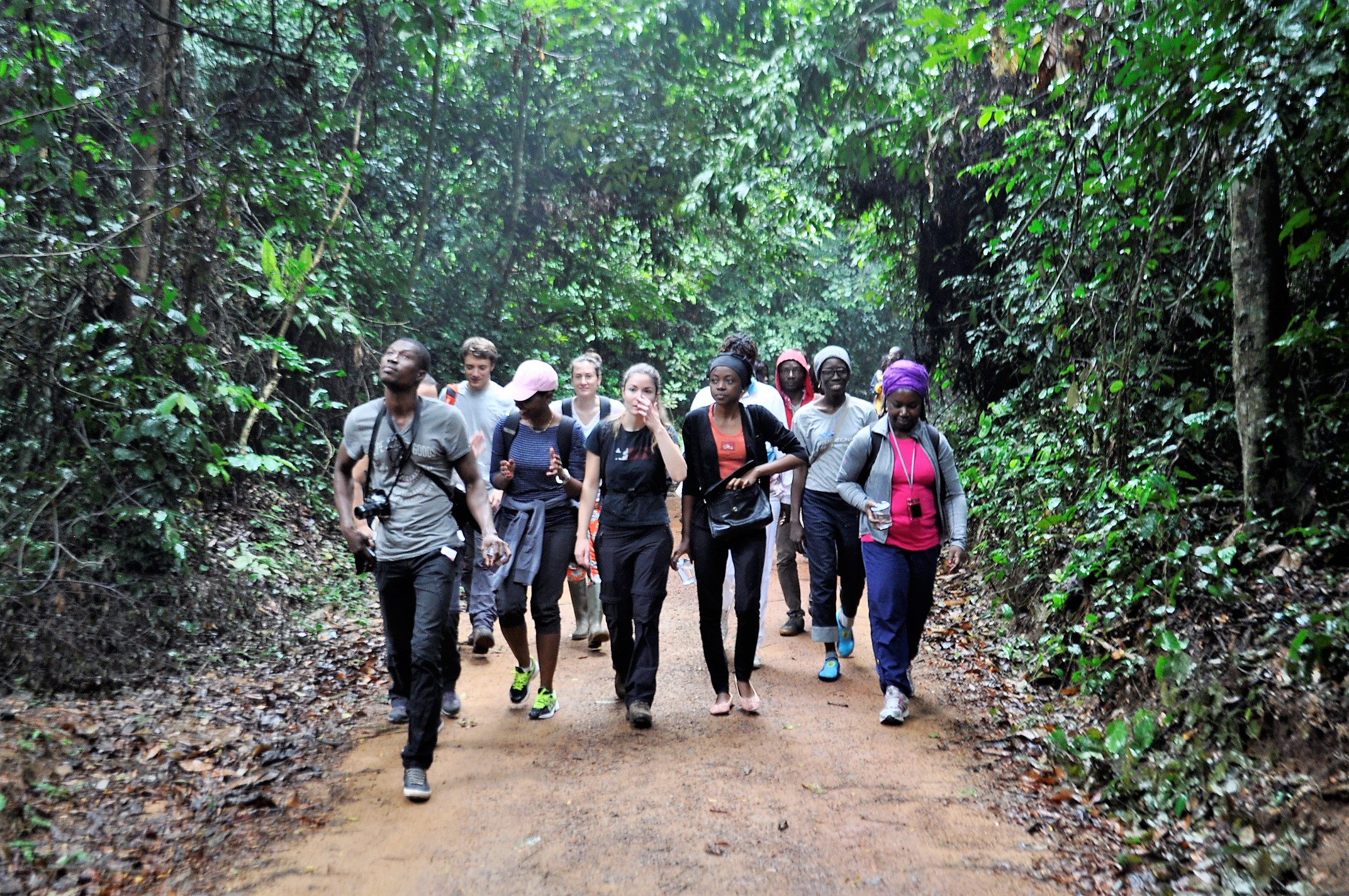 The Parc Du Banco Rainforest - Awe-inspiring Places
