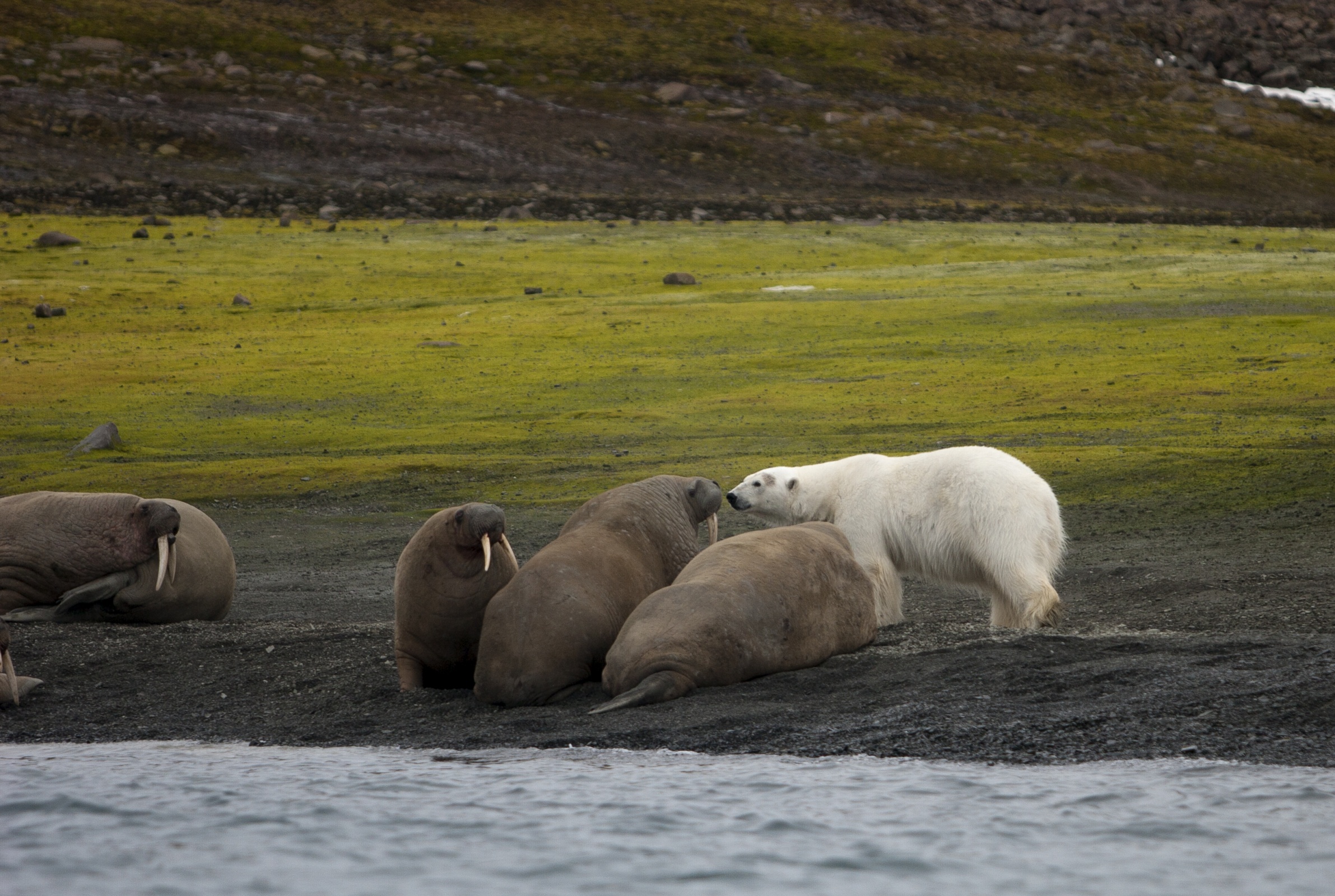 The Russian Arctic National Park - Awe-inspiring Places