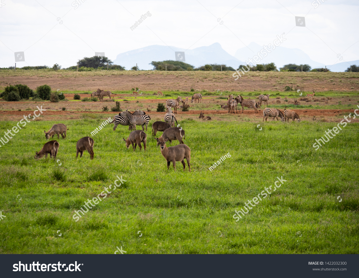 Conservation Area - Awe-inspiring Places