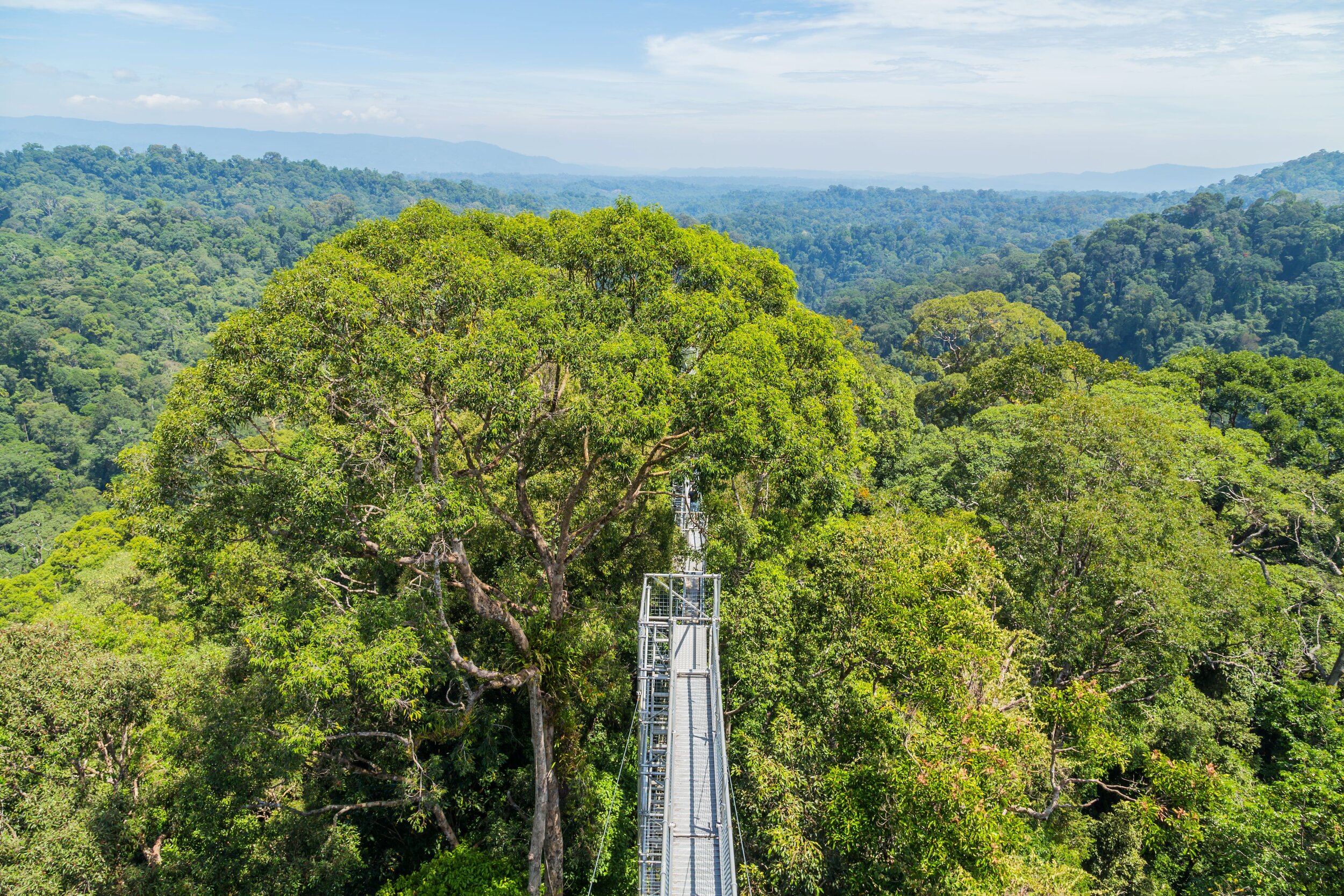 Ulu Temburong National Park - Awe-inspiring Places