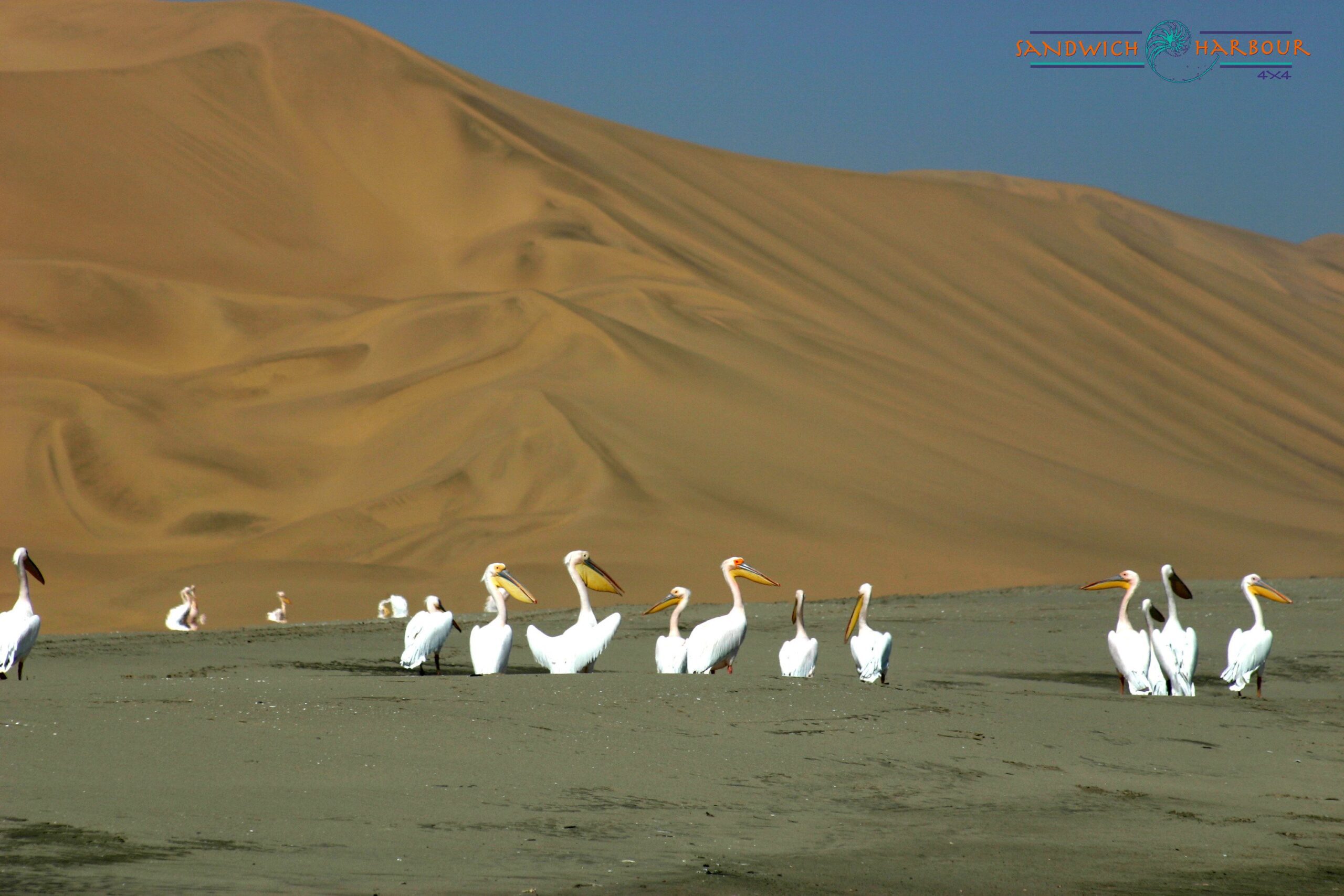 Walvis Bay Bird Sanctuary - Awe-inspiring Places