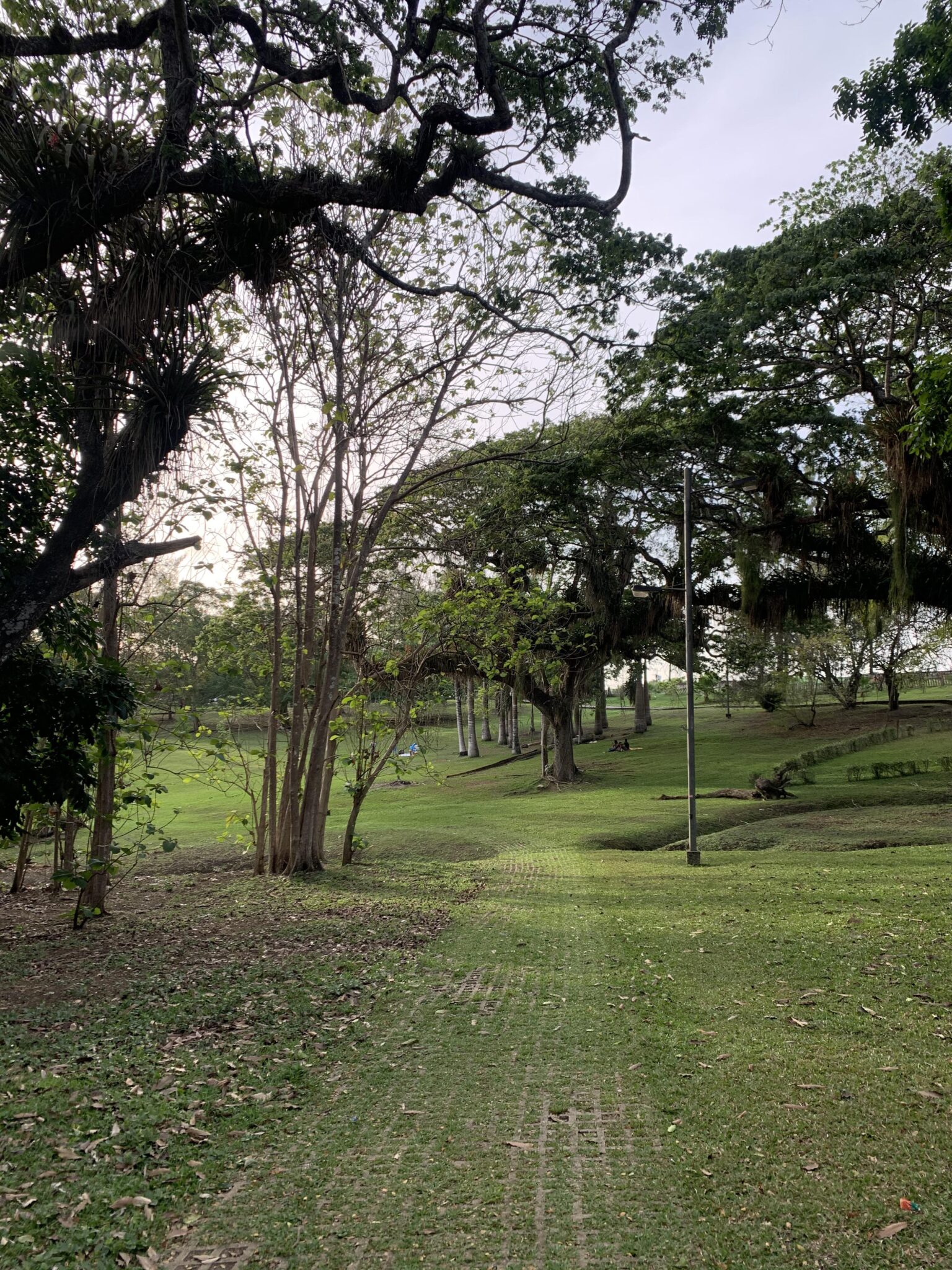 Palmiste Park - Awe-inspiring Places