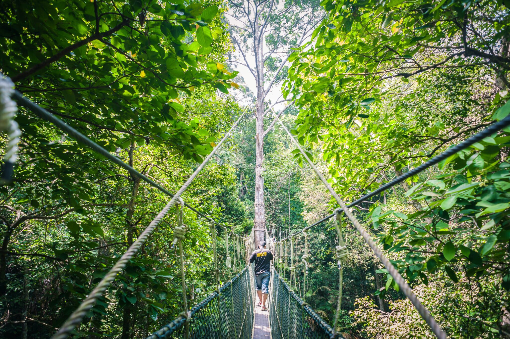 Penang National Park - Awe-inspiring Places
