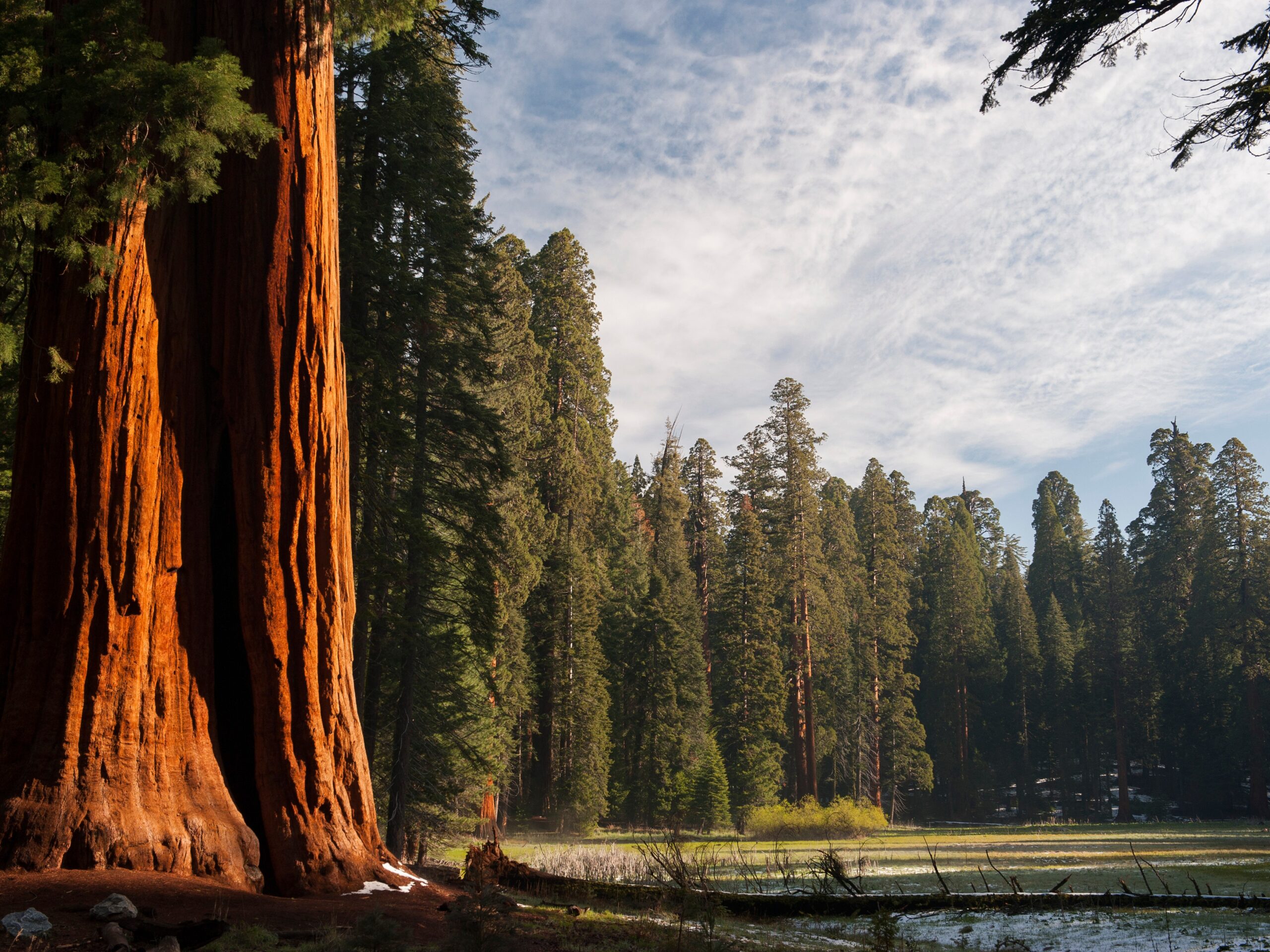 Sequoia National Park - Awe-inspiring Places