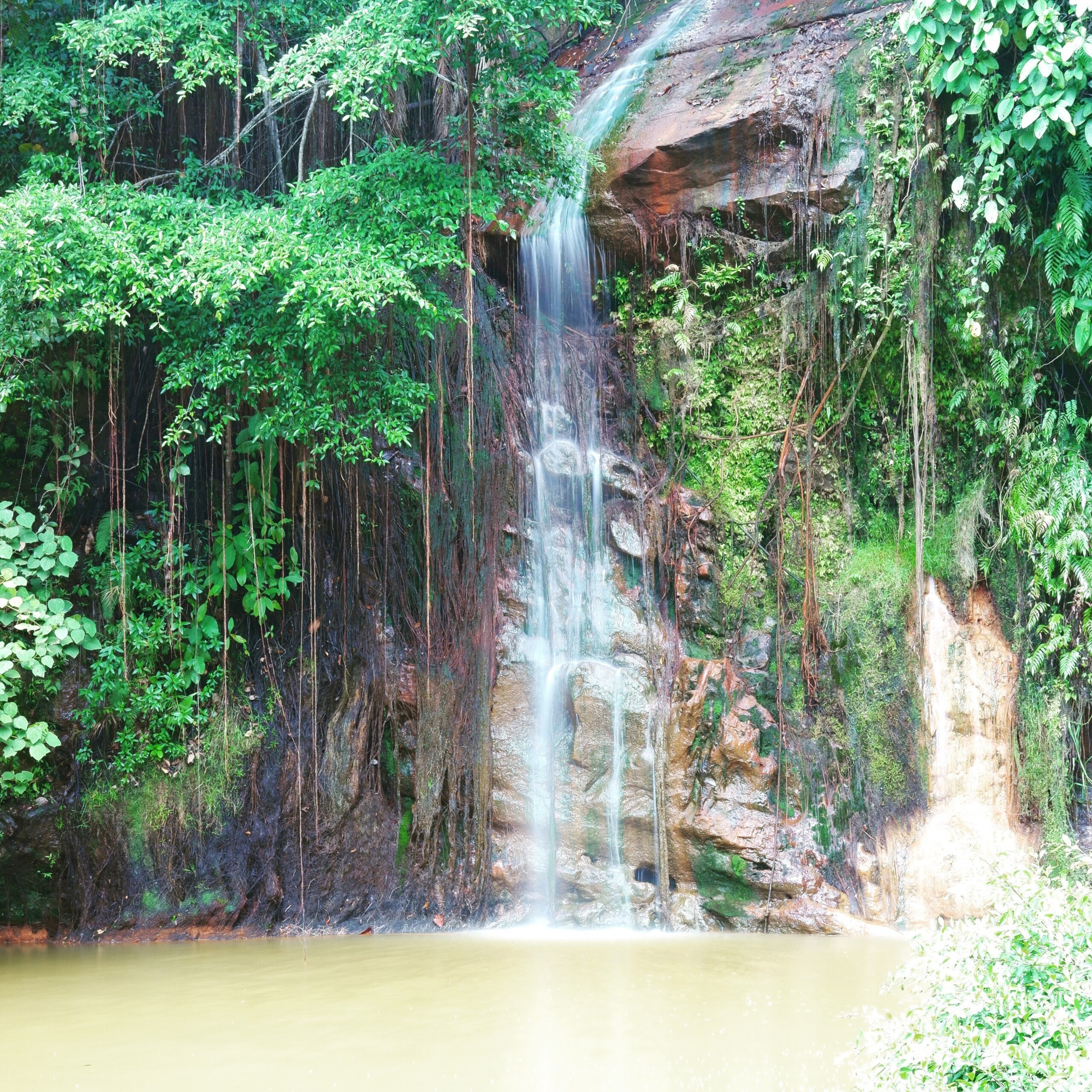 Tasek Lama Recreational Park - Awe-inspiring Places