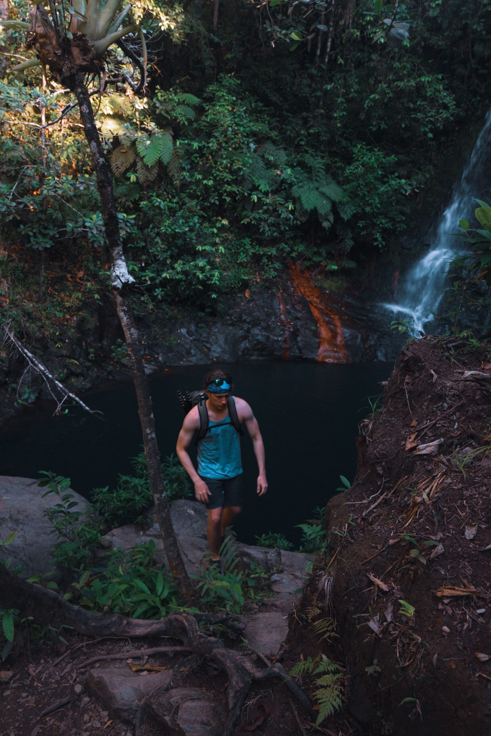 Tiger Fern Trail - Awe-inspiring Places
